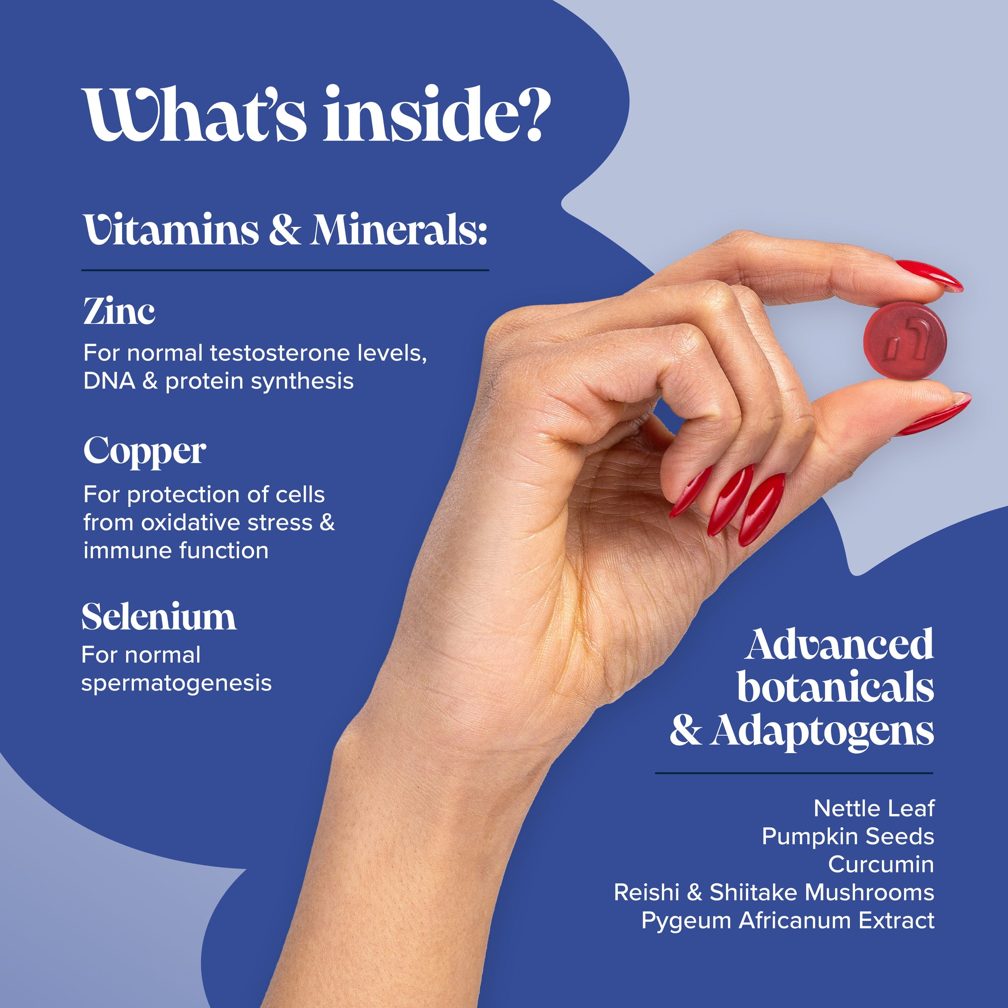 Prostate Gummies | Saw Palmetto | Prostate Health | Vegan | Sugar-Free ...